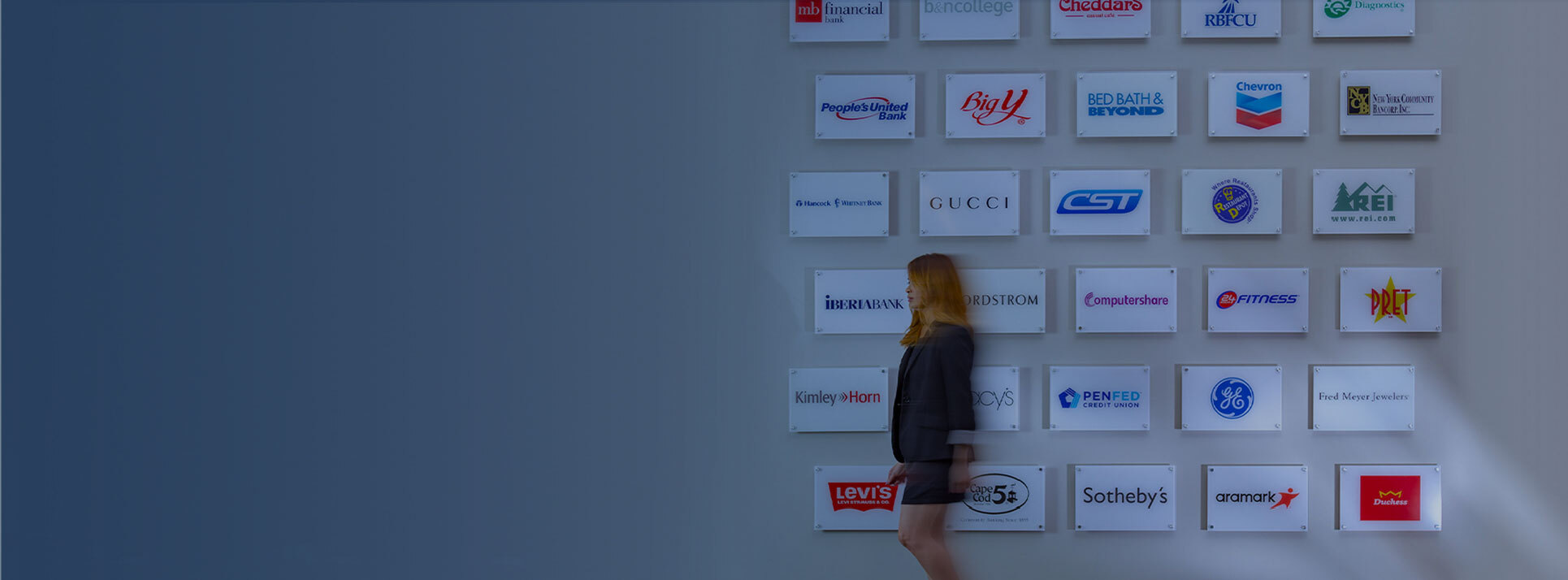 Electronic Business Security Systems | NAVCO